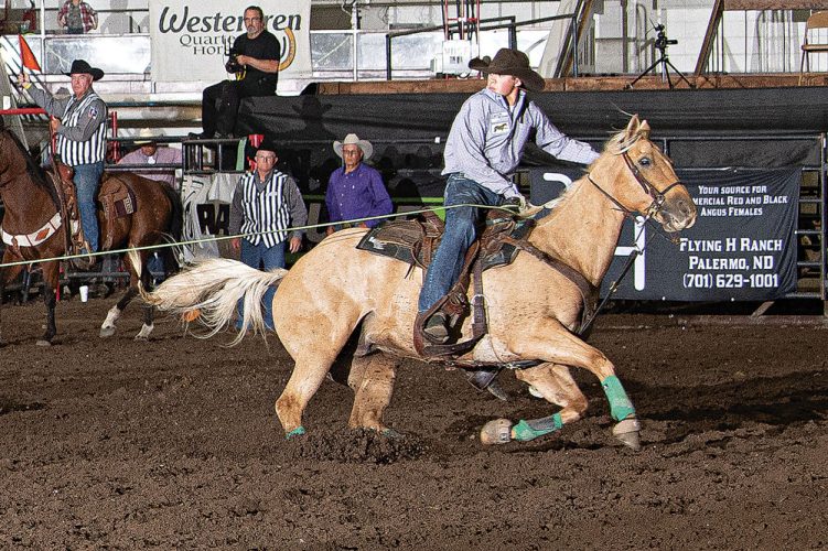 Badlands Circuit awards horses for rodeo ability | News, Sports, Jobs ...